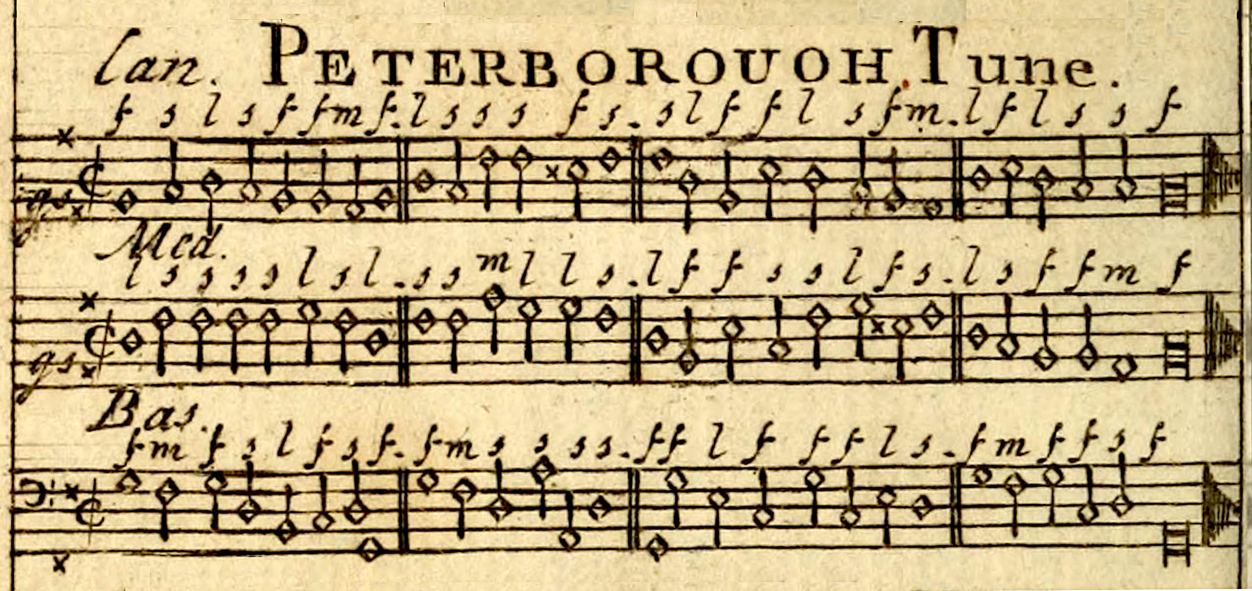 Bay-Peterborough – Loopholes
